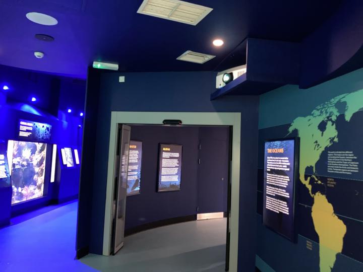 World Museum Liverpool Aquarium - GVAV